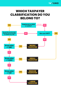 BIR Taxpayer Classification Under the New RR No. 8-2024